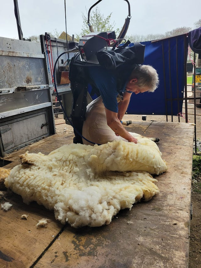 George Mudge | Home – George Mudge Shearing